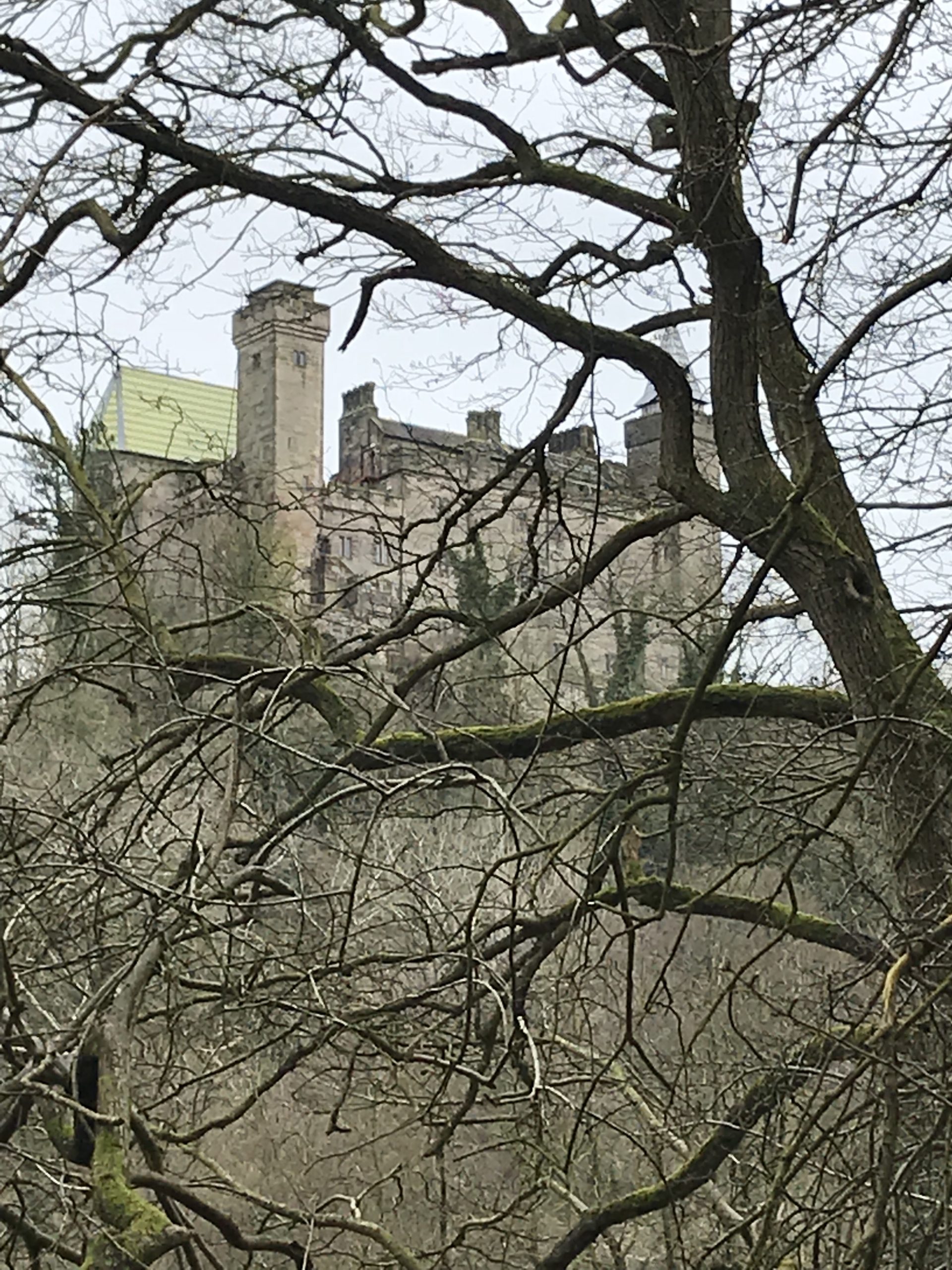 Alton Castle – sankeynextchapter